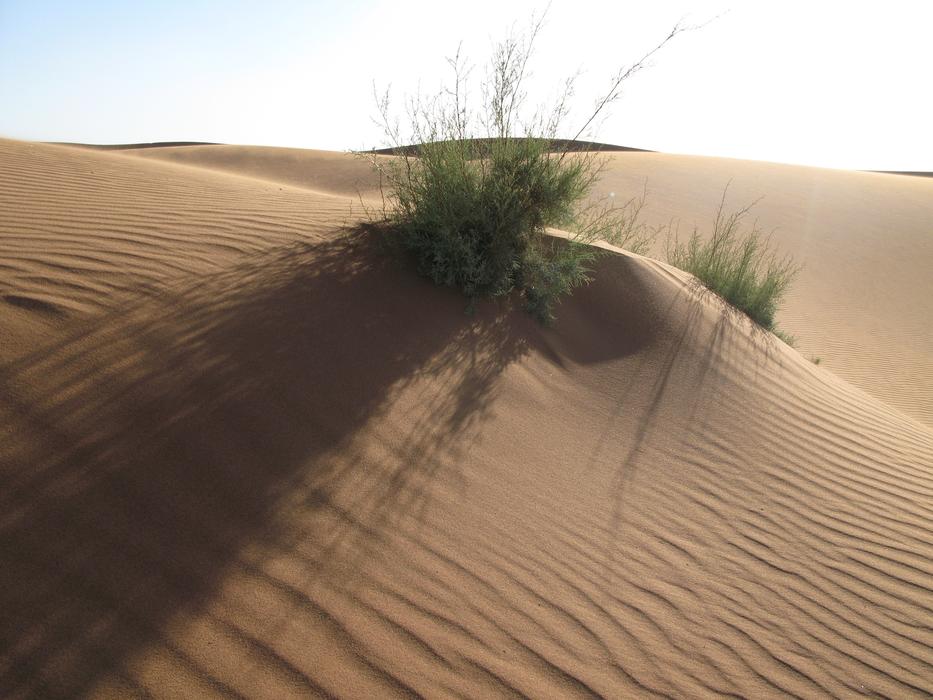 Sand Desert Dry free image download