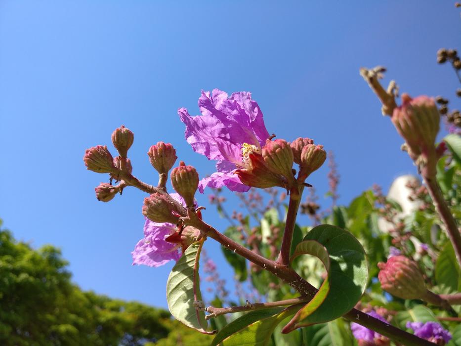 Blue Sky free image download