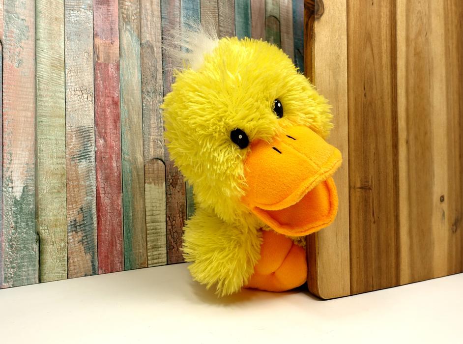 Duck Stuffed Animal Funny Soft toy free image download