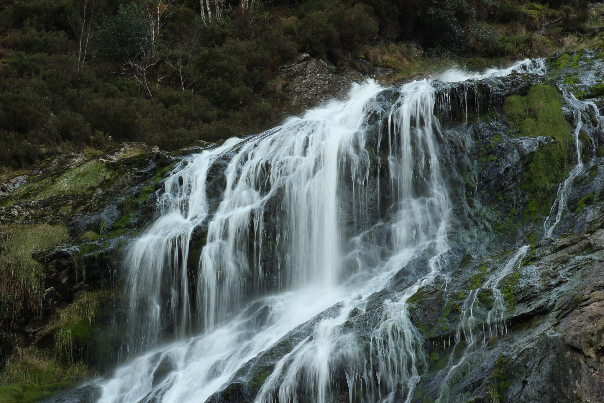 Water Waterfall Nature free image download