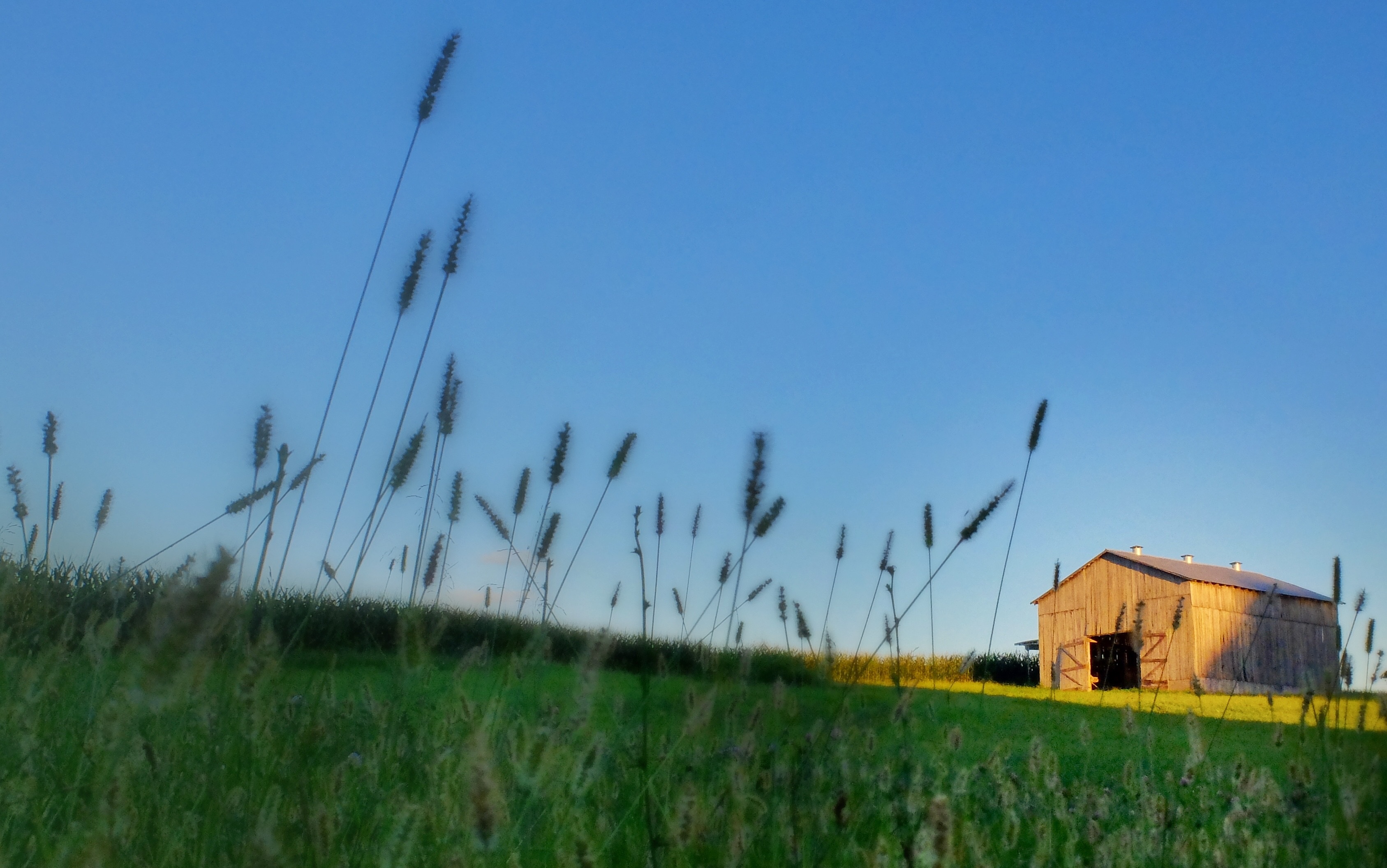 Barn Grass Farm free image download
