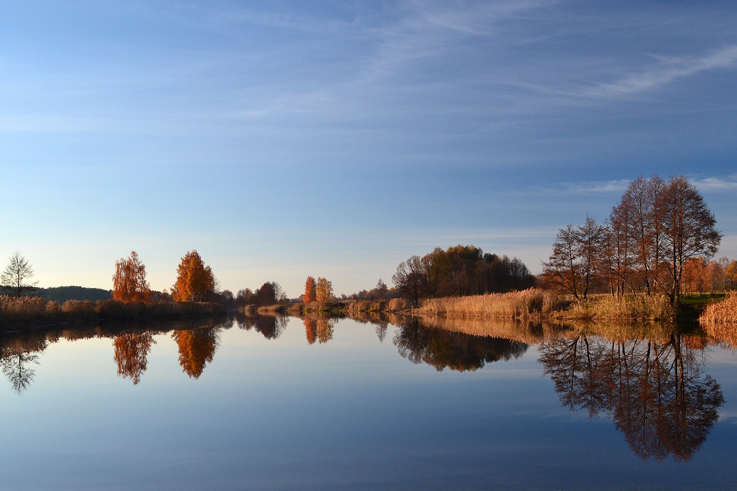 Reflection Water Nature free image download