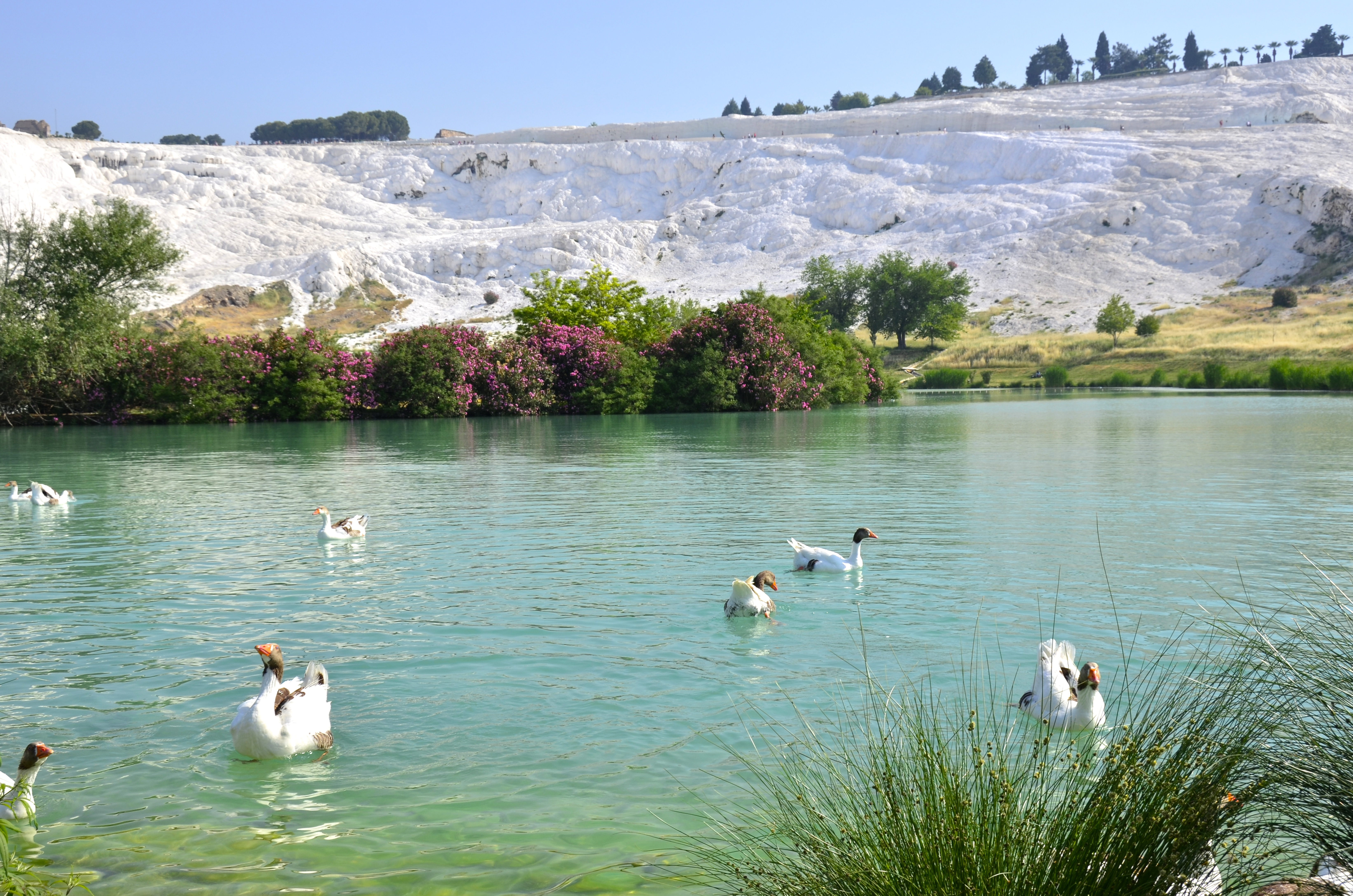 Lake Landscape Turkey free image download