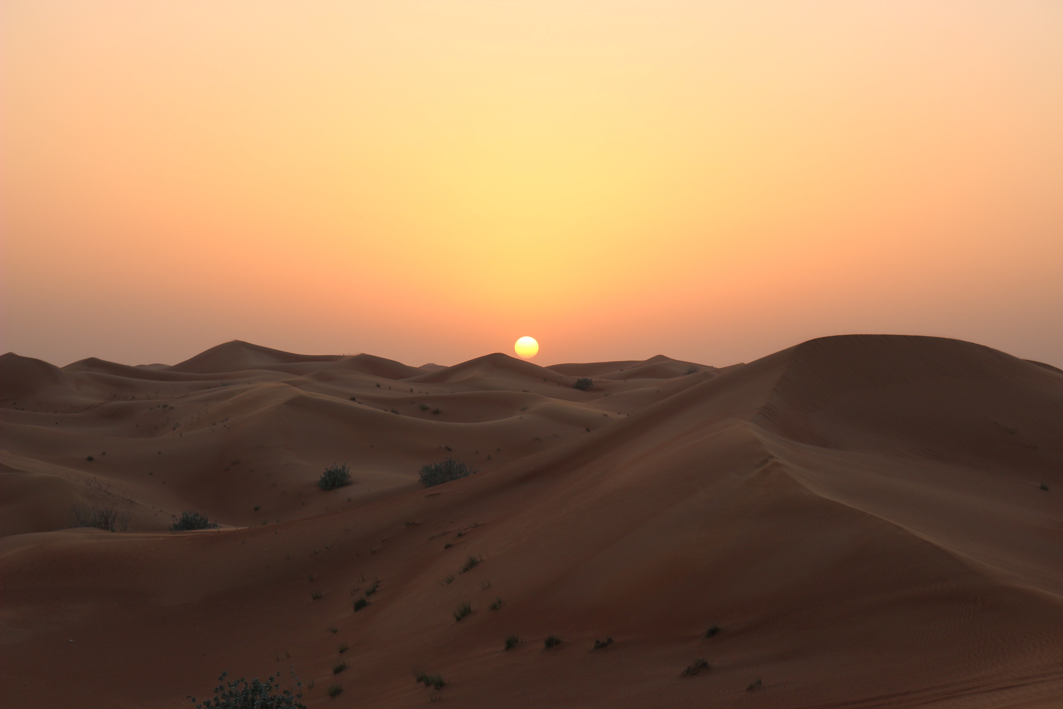 Desert No Person Sunset free image download