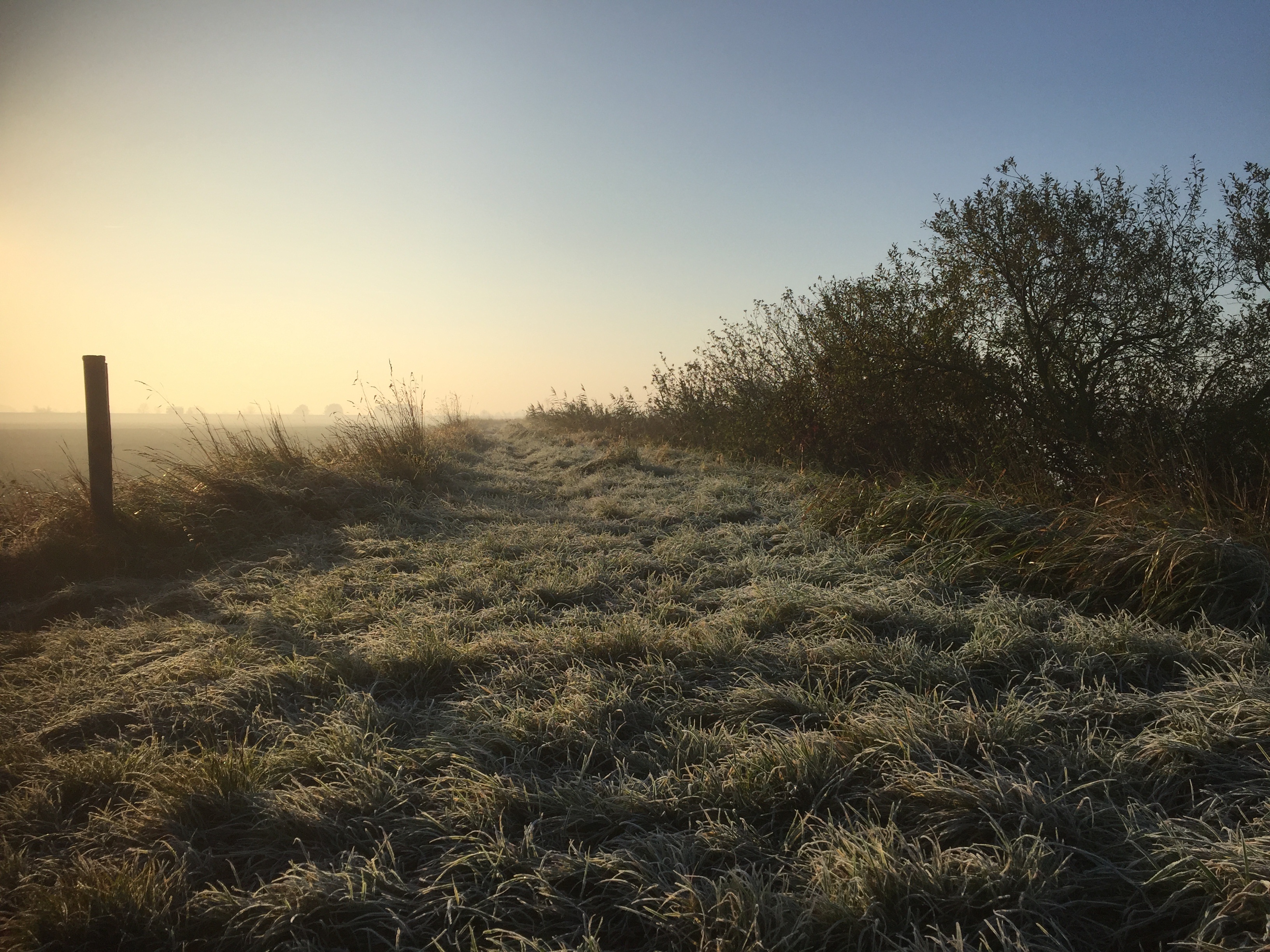 Path Dew Frosty free image download