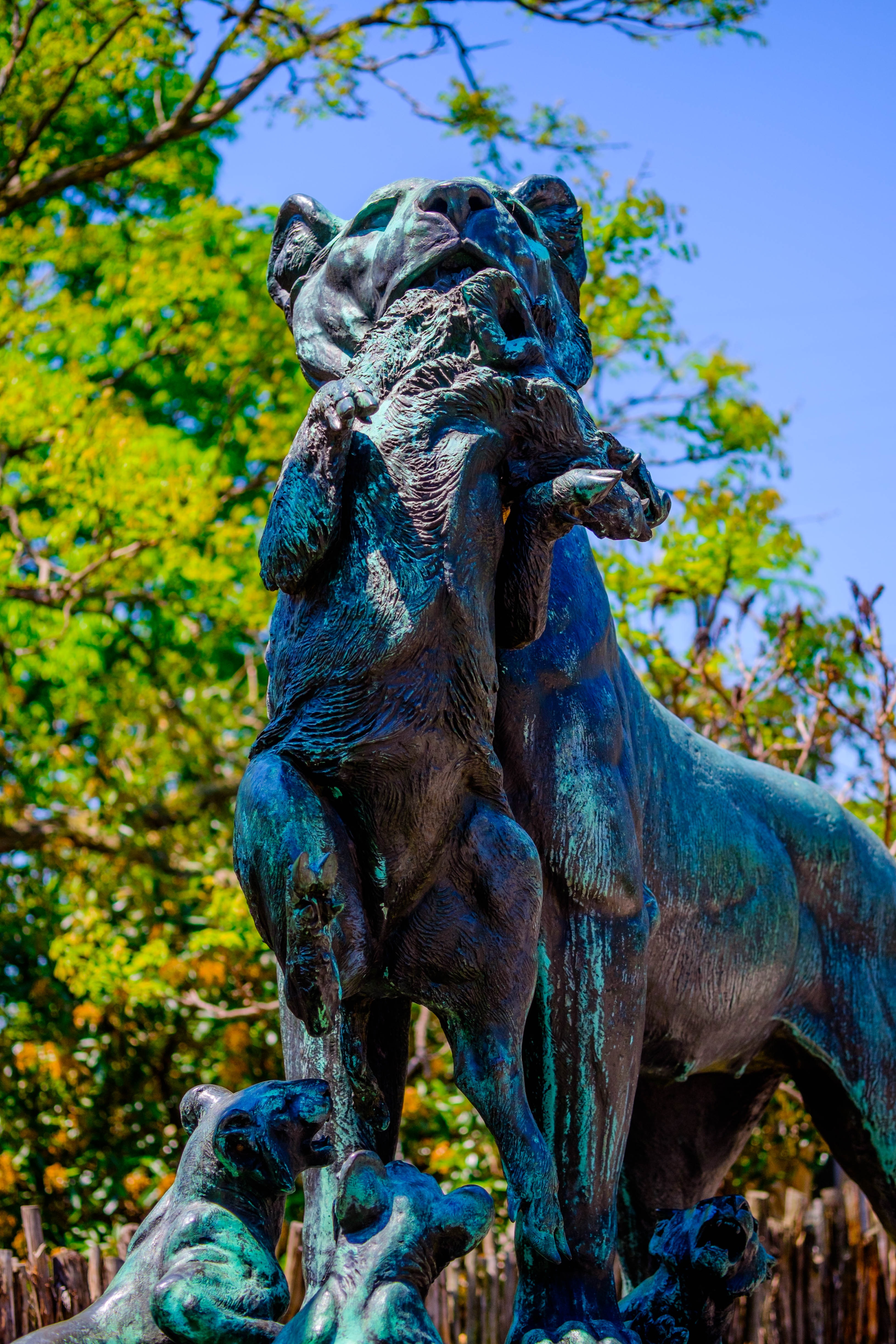 Lions Zoo Statue free image download