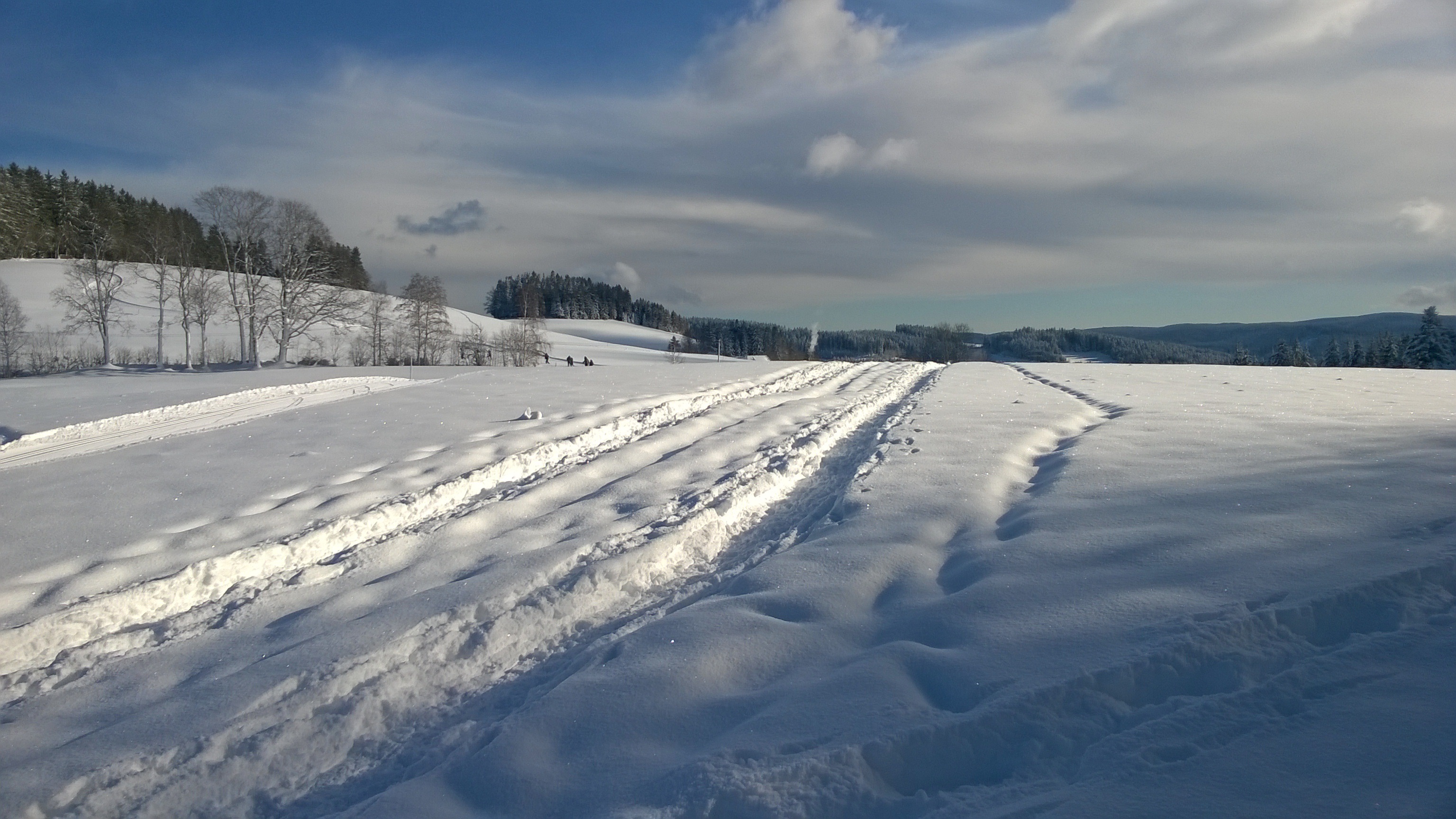 Winter Snow Nature free image download
