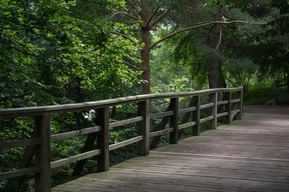 Bridge Railing Wood free image download