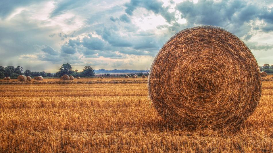 Field Heaven Landscape free image download
