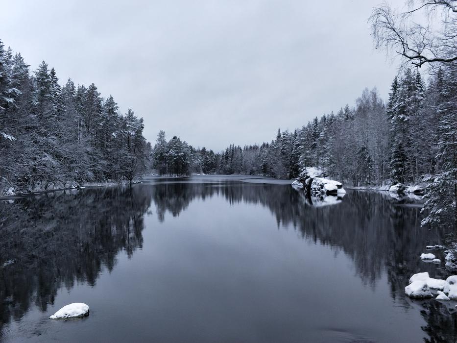 Tree Snow Lake free image download
