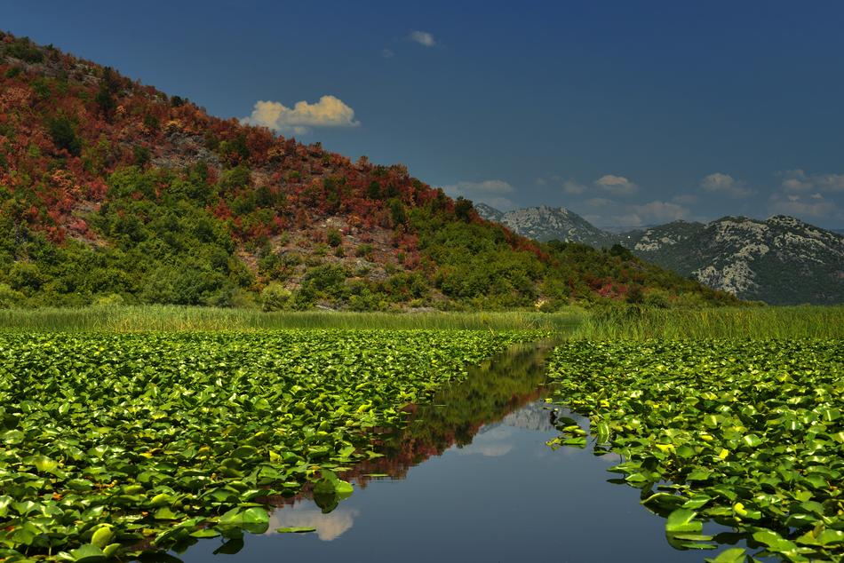 Water Nature Landscape free image download