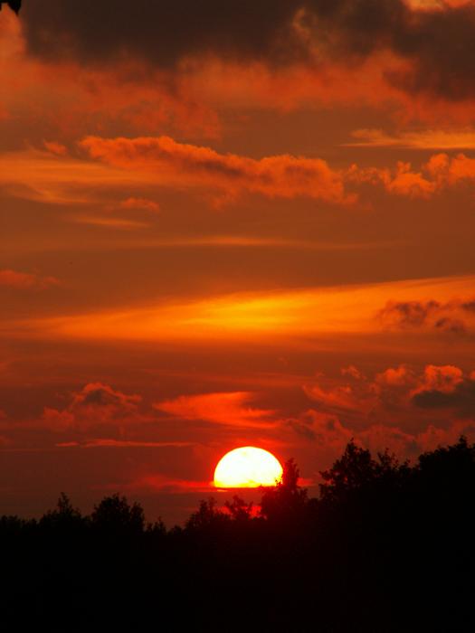 Sunset Sun sky view free image download