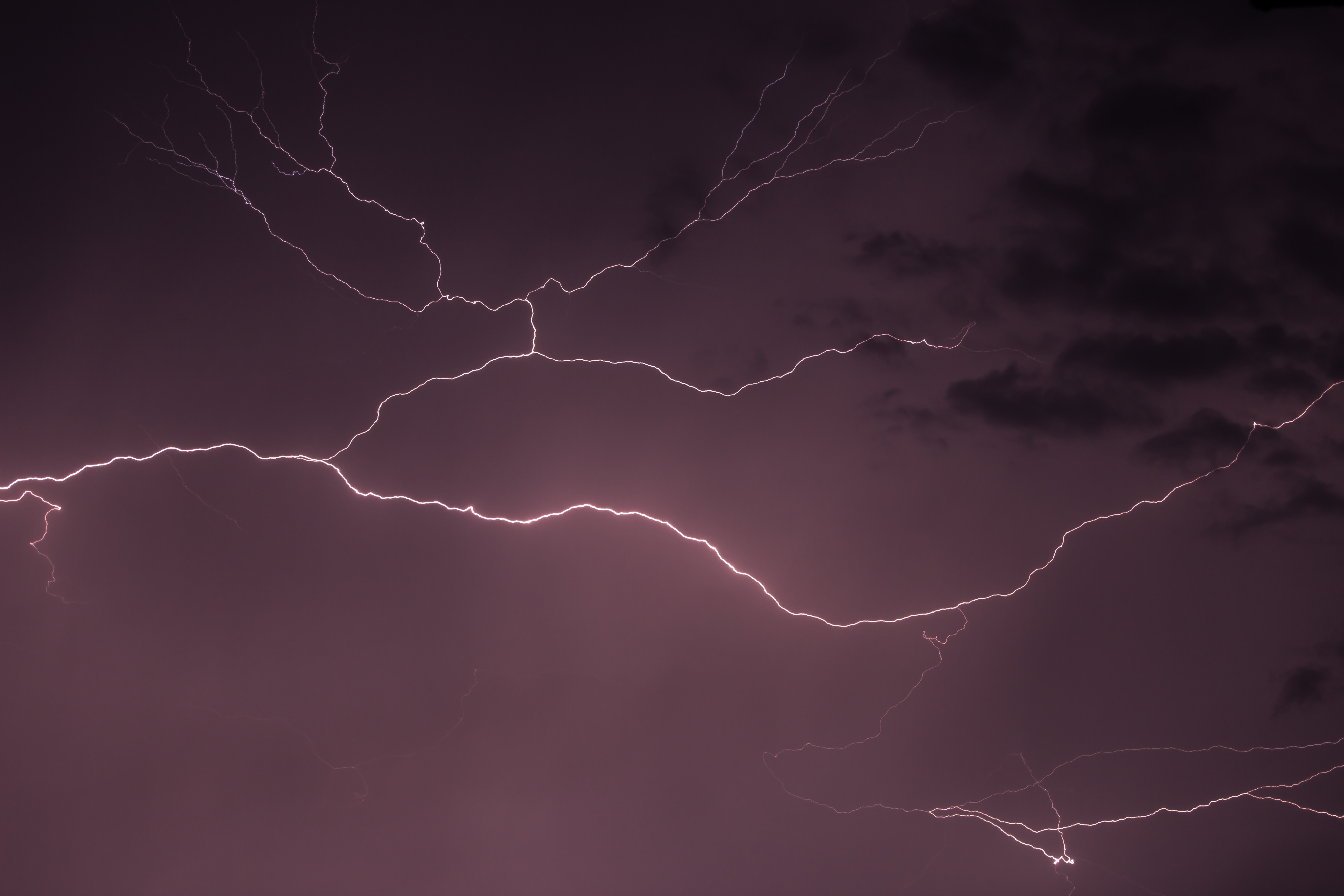 Storm pink is beautiful free image download