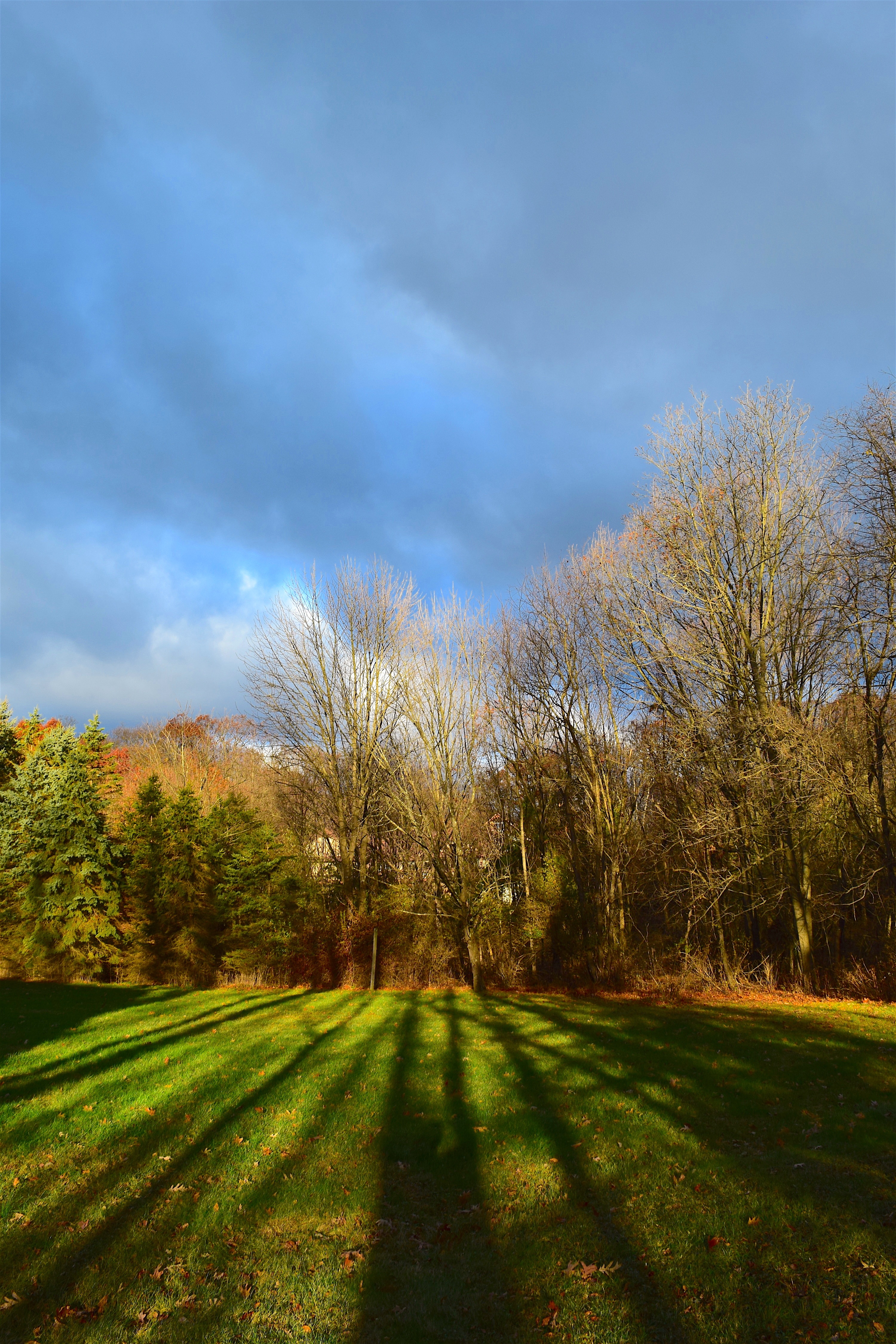 Sunrise Daylight Shadows free image download