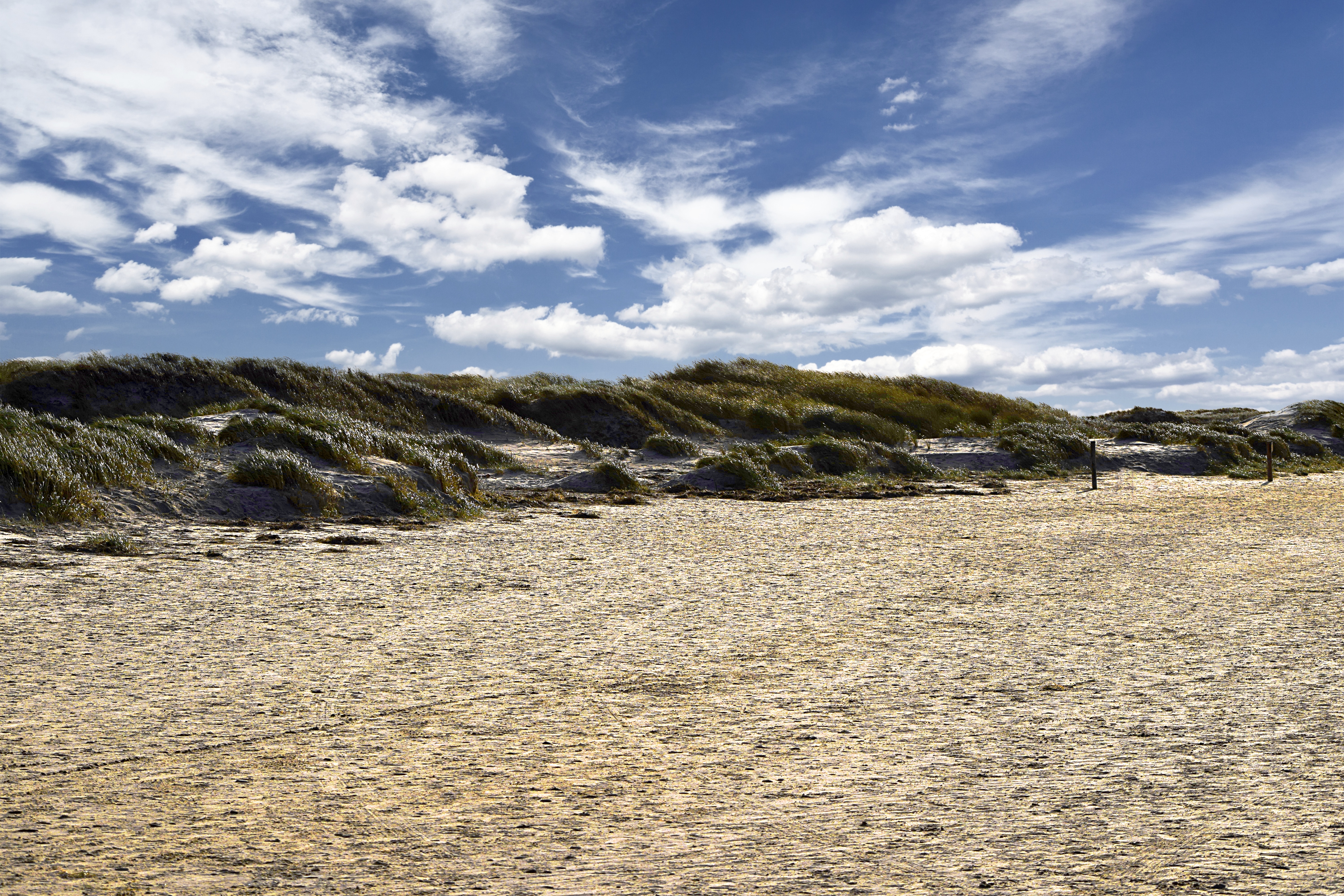 Dunes Beach North Sea Sand free image download