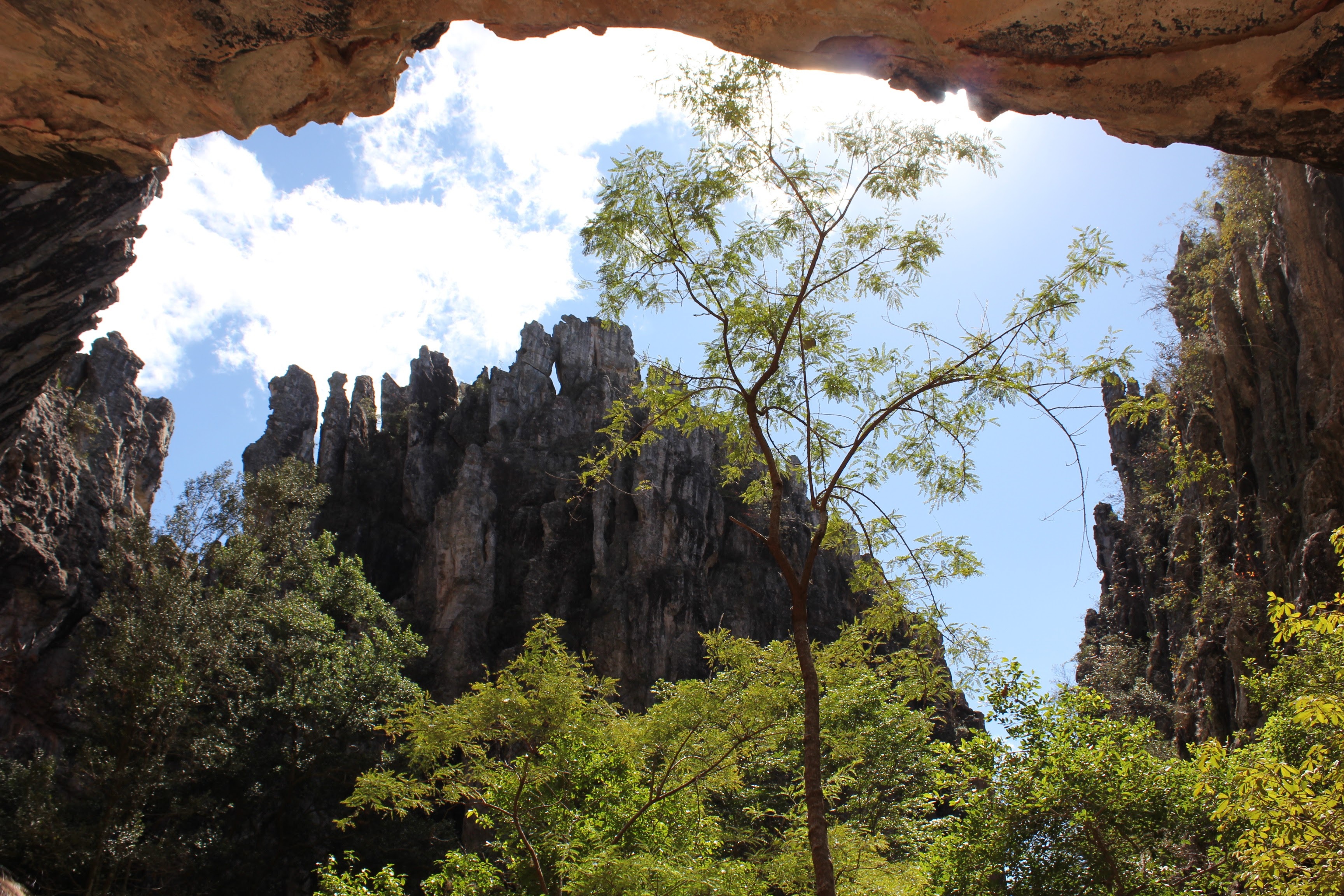 Nature Trip Rock free image download