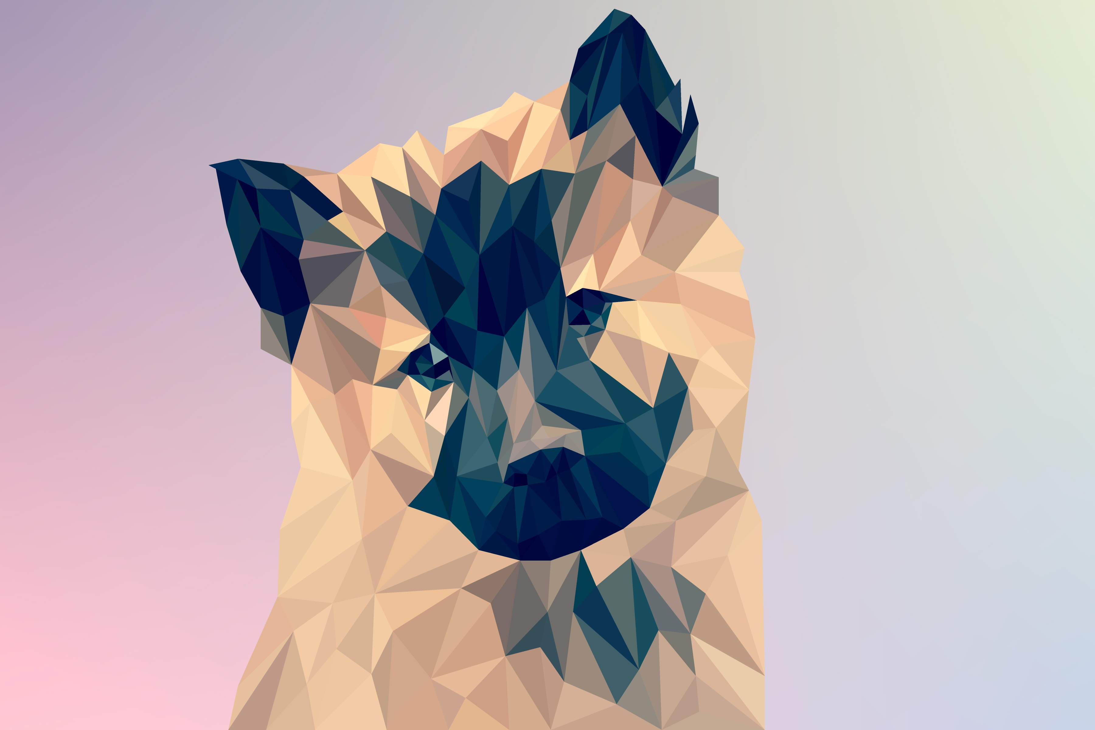 Poly low illustration dog animal free image download