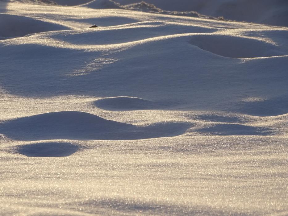 Desert Sand Landscape free image download