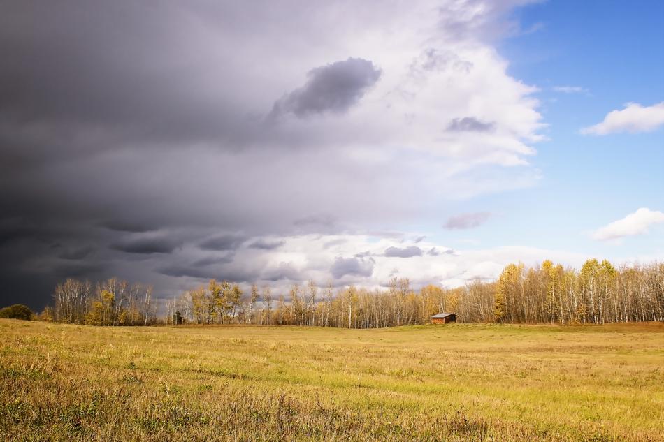 Storm Field Sky free image download
