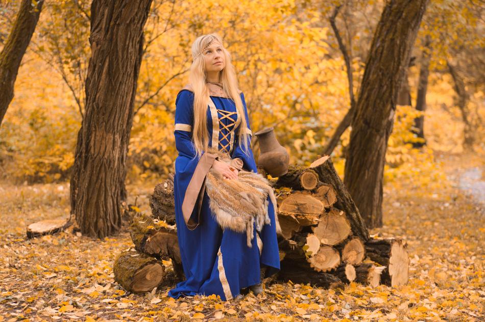 The Middle Ages Autumn Forest free image download