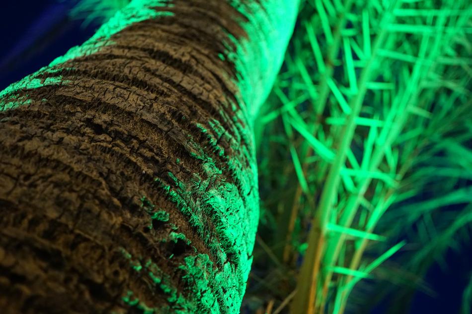 Nature Bright Color free image download