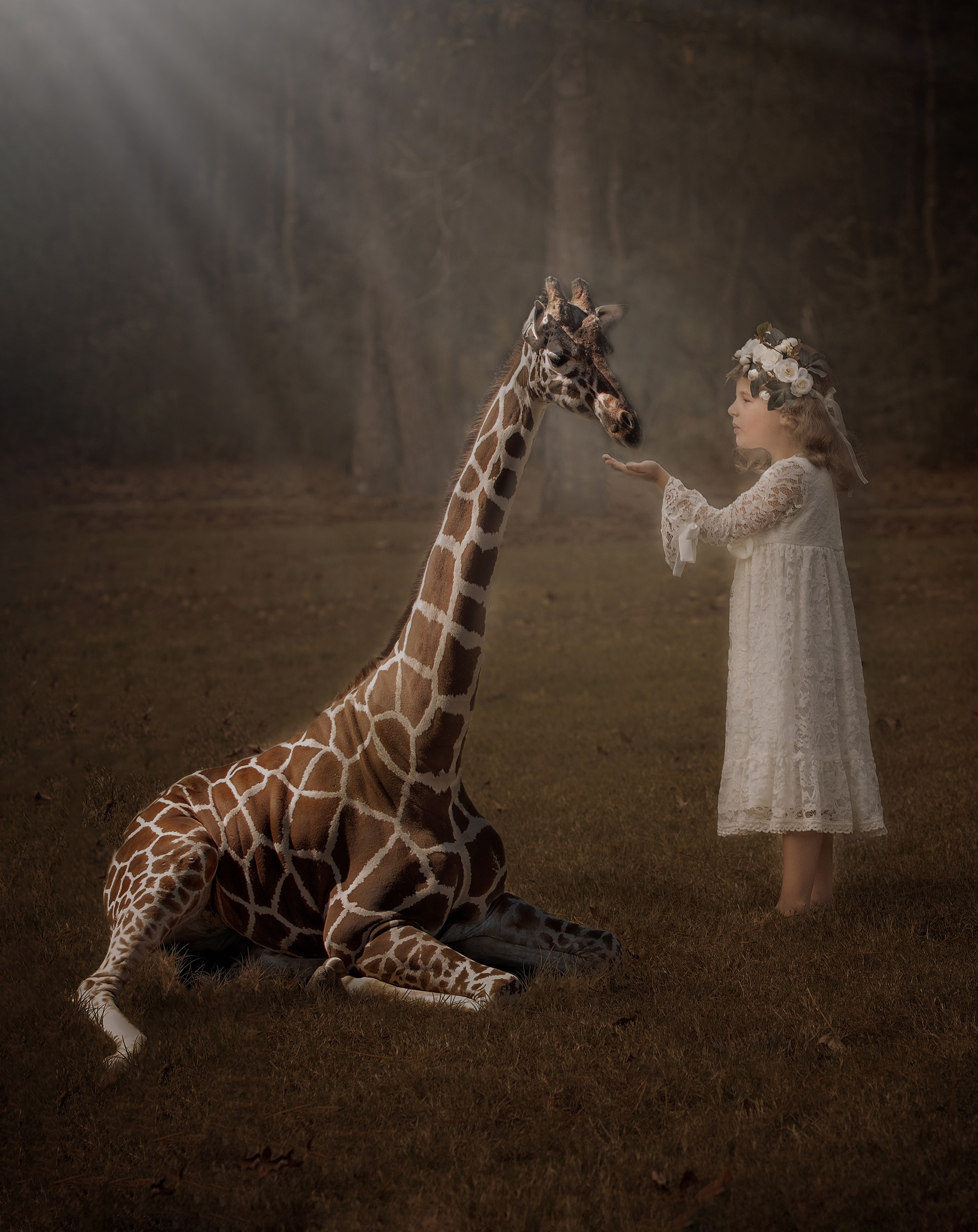 Giraffe Nature Fantasy free image download