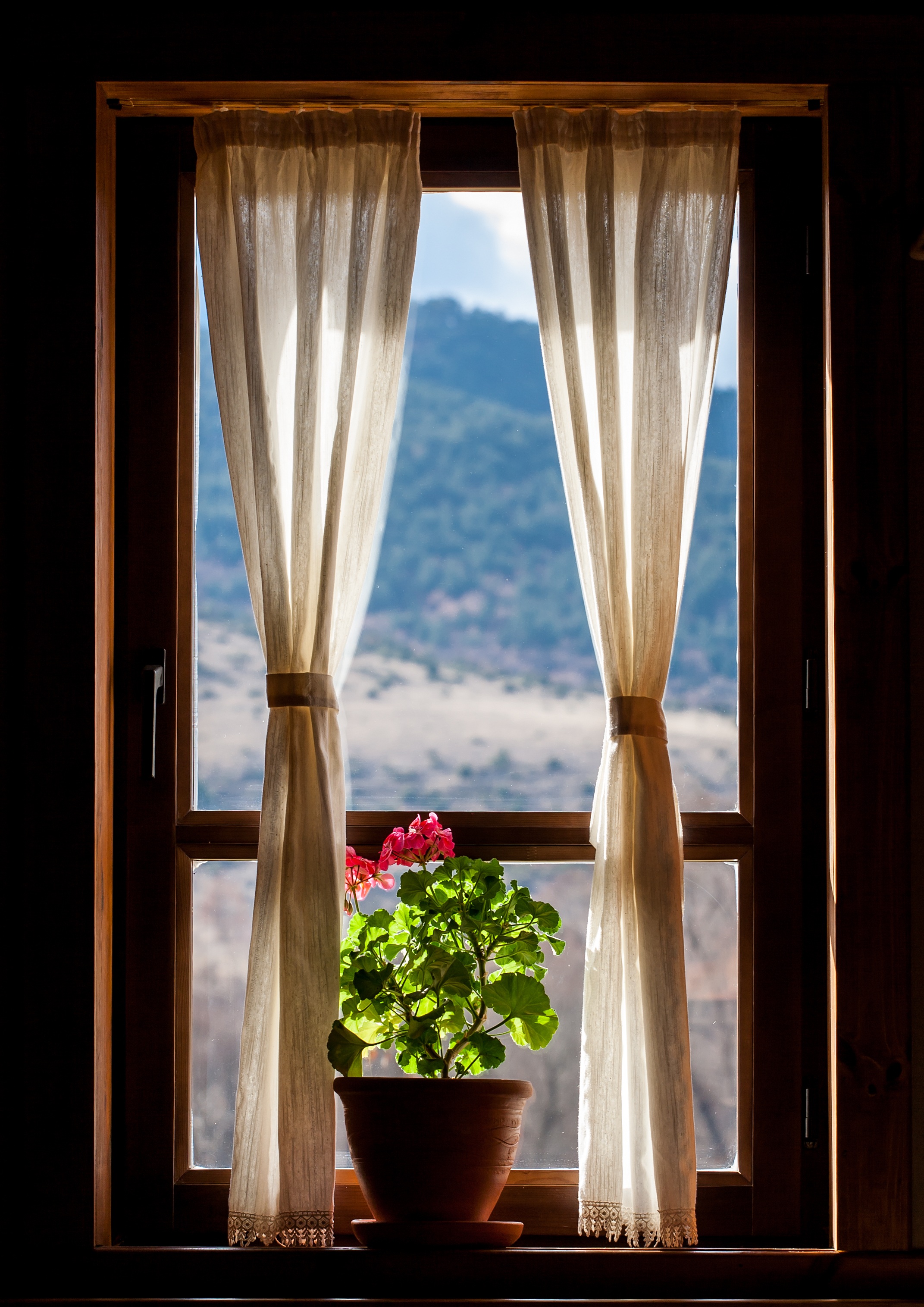 Windows House Room free image download