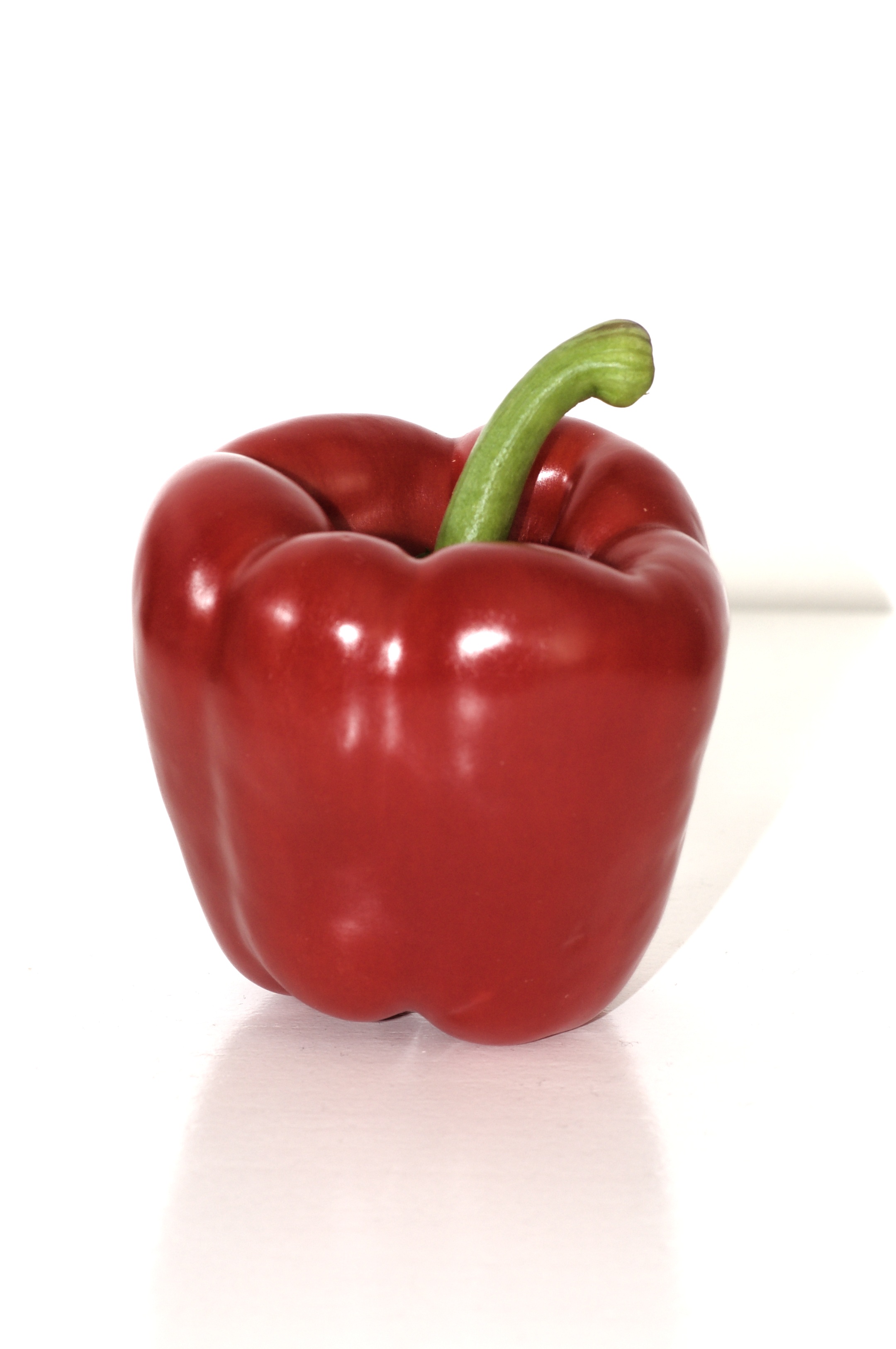 Red pepper on a white background free image download