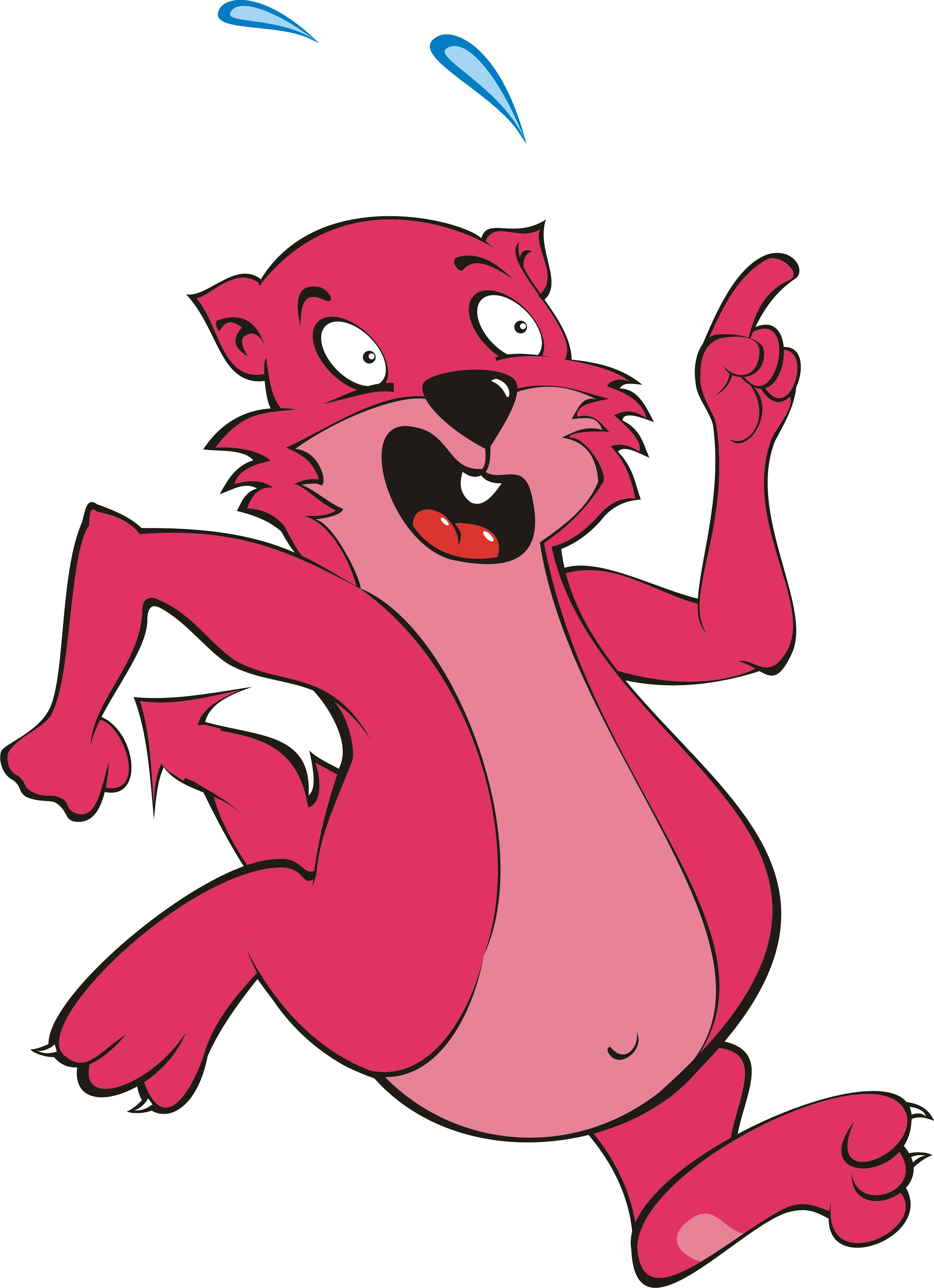 Marmot mammal rodent red pink free image download