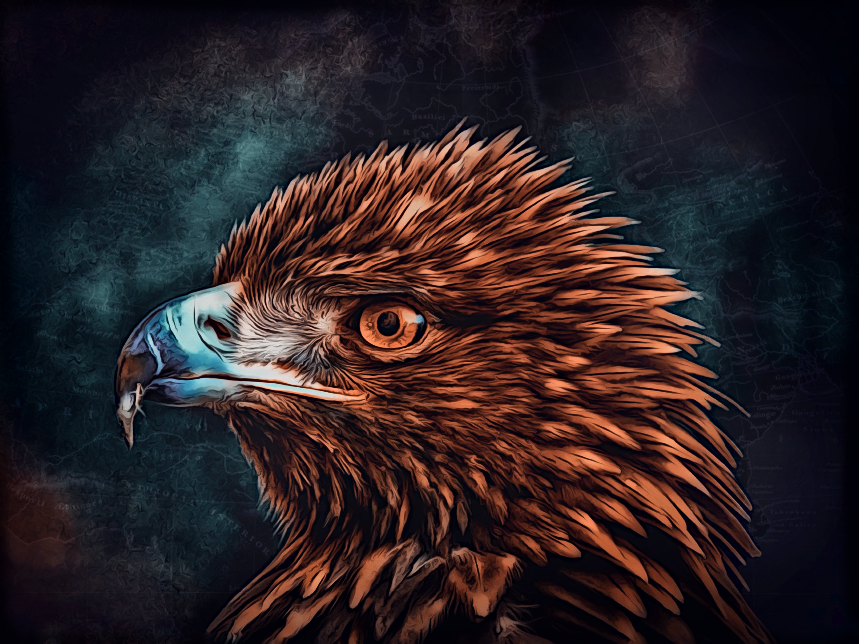 Adler Animal World Bird Of Prey free image download