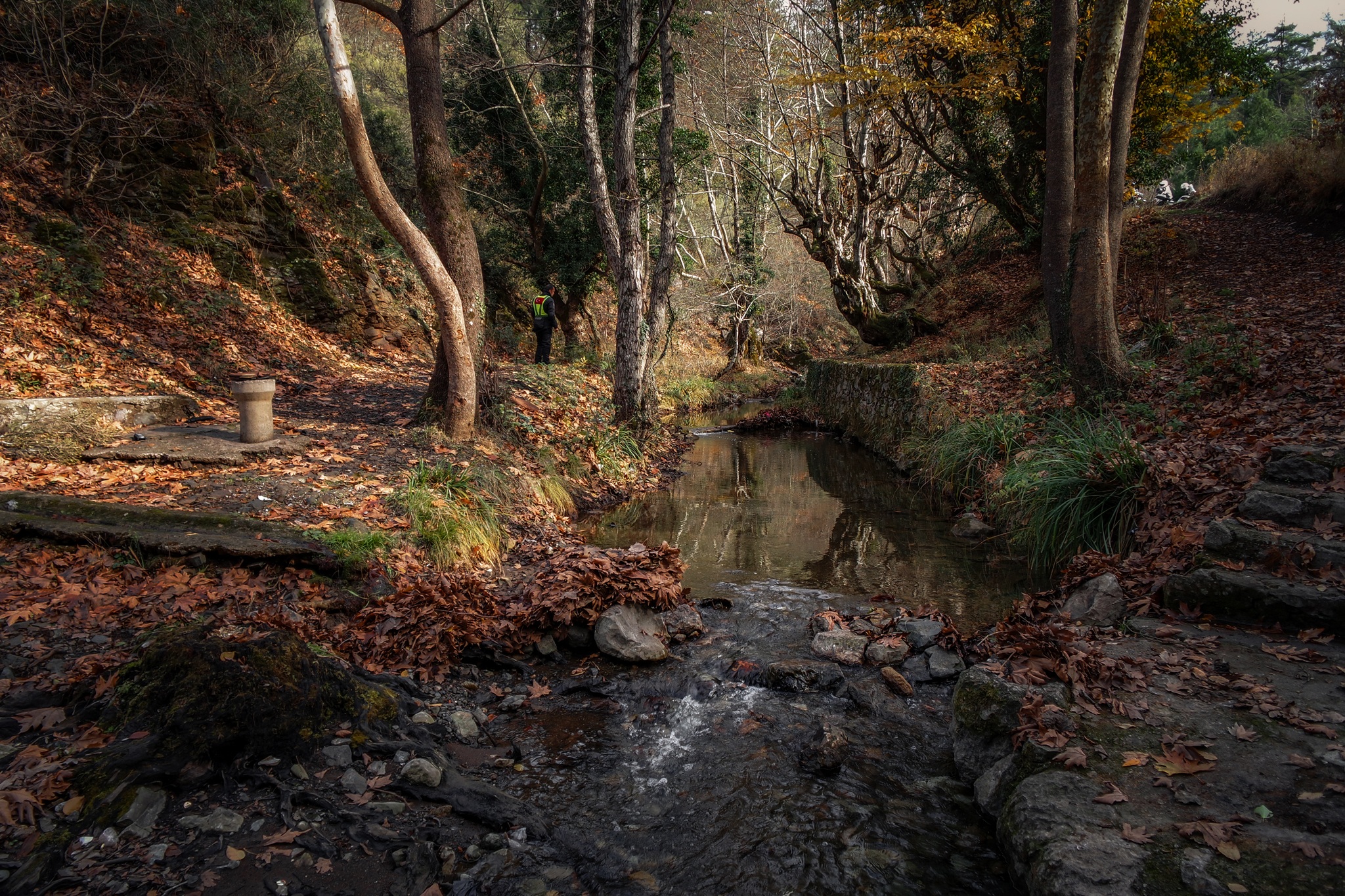 Nature Peace Landscape free image download