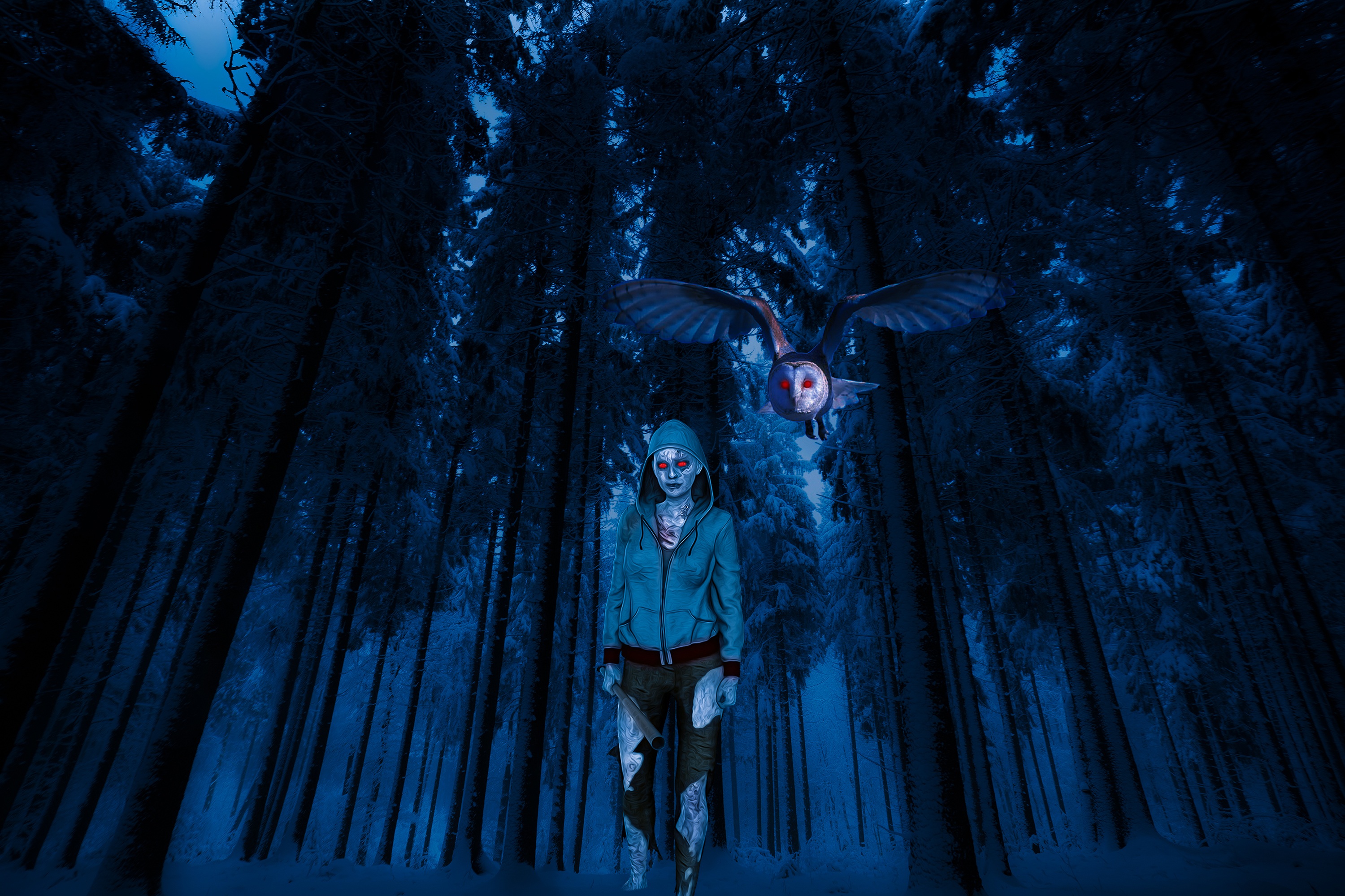 Forest Night Zombie free image download
