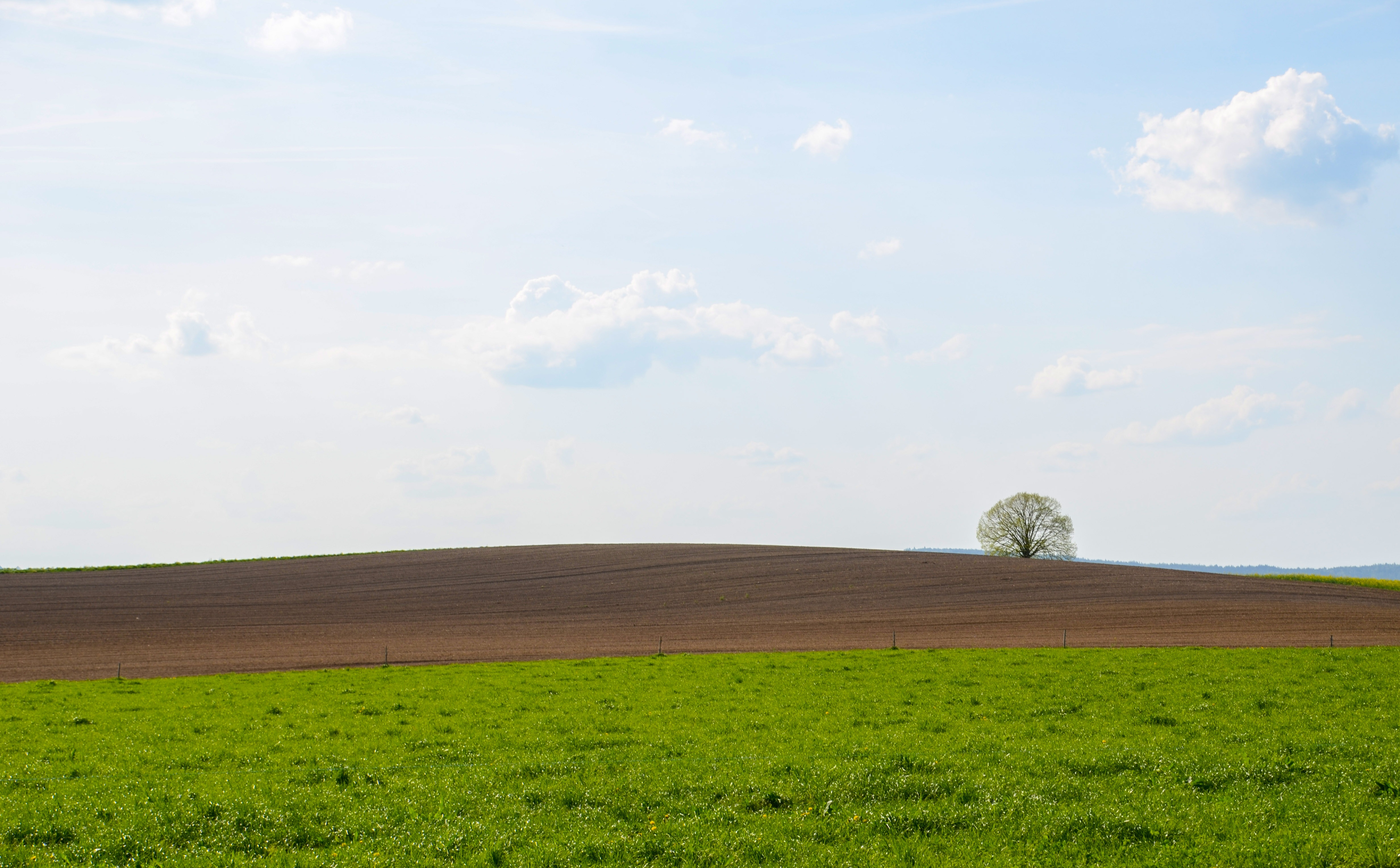 Green field with trees view free image download