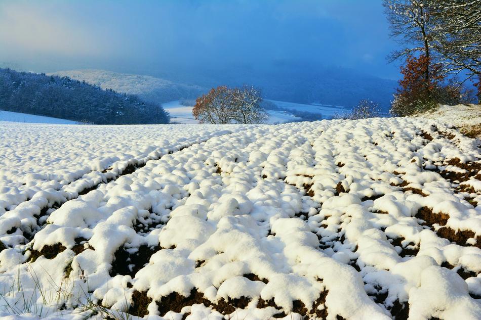 Wintry Snow Winter free image download