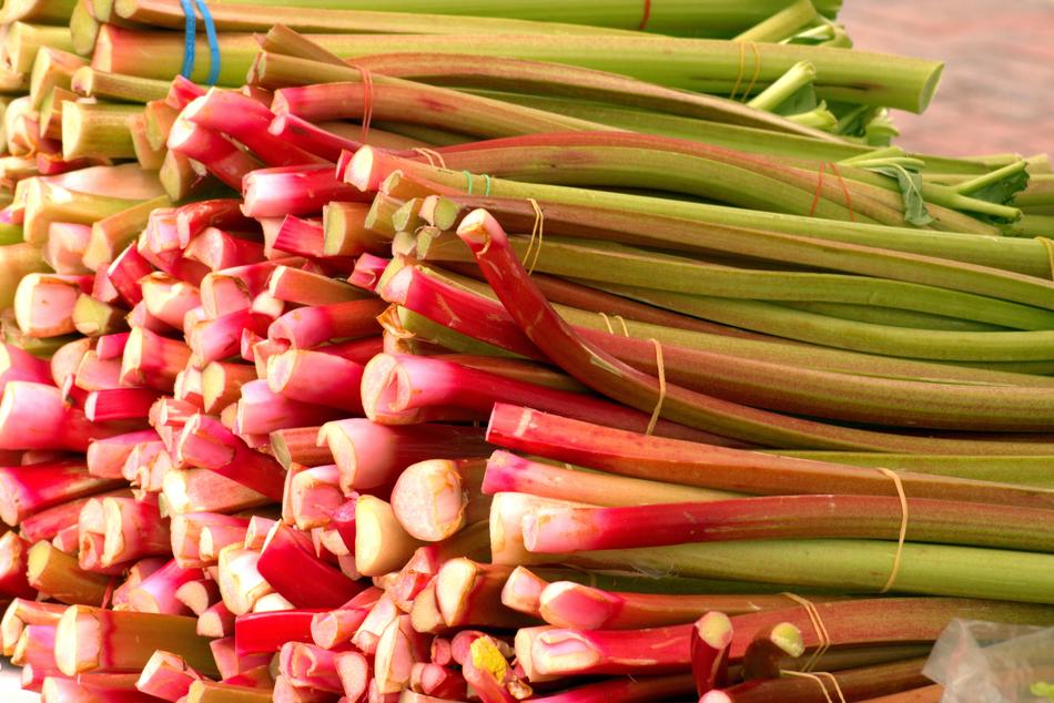 Long colored onion free image download
