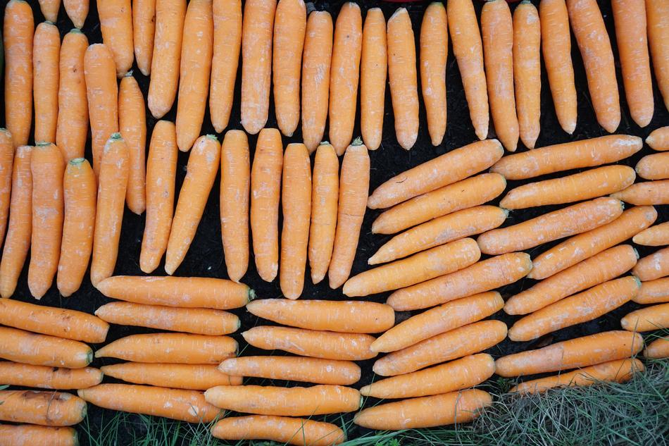 Pure ripe carrots free image download