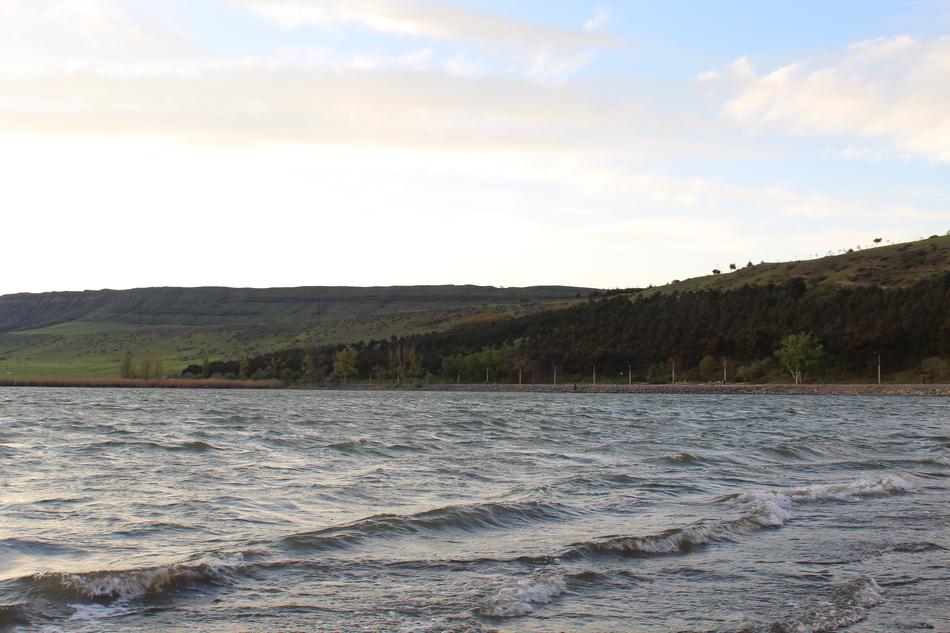 Water Landscape Beach free image download