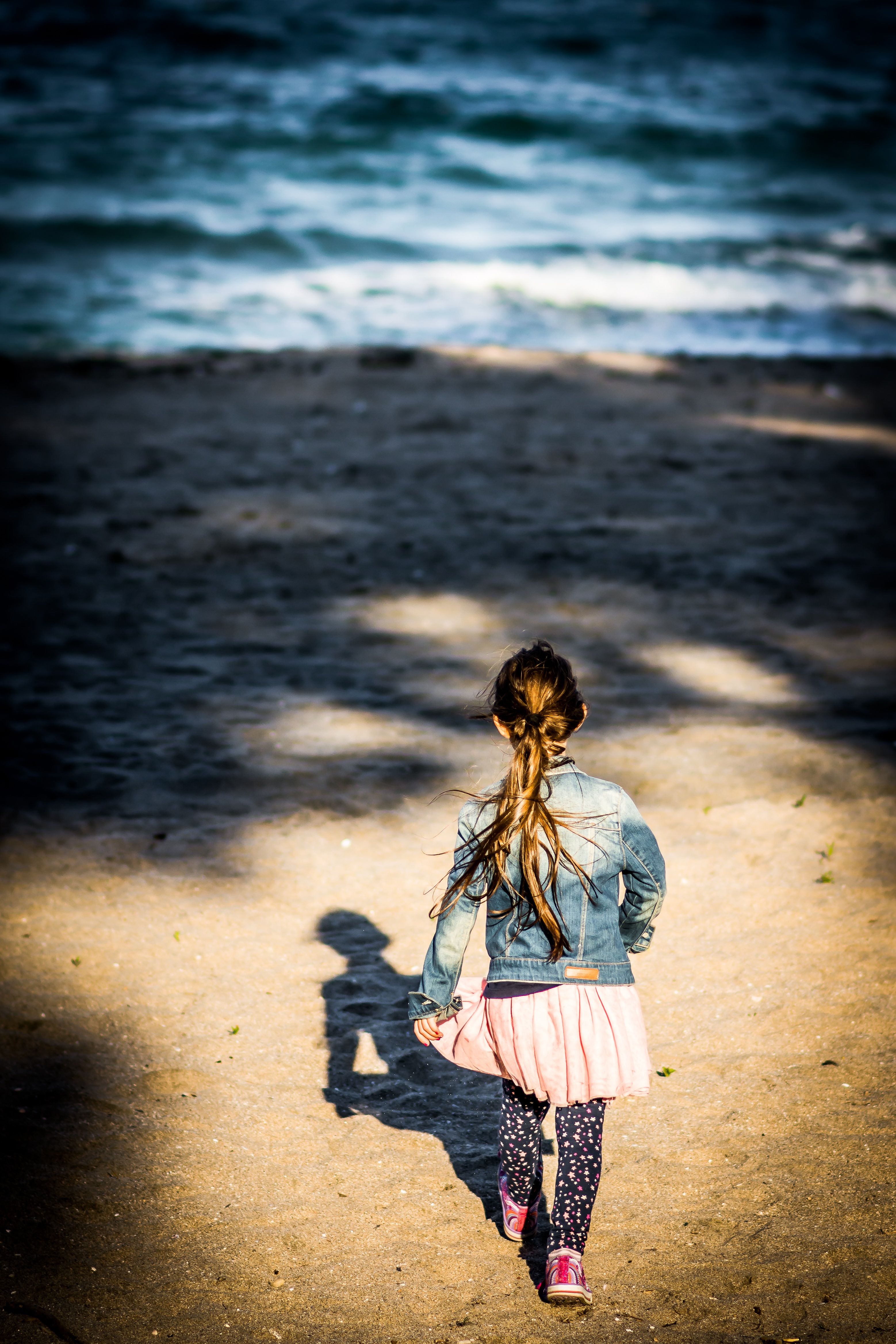 Shadows Sea Beach free image download