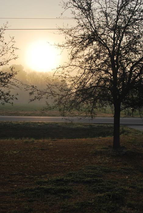 The white sun is beautiful free image download