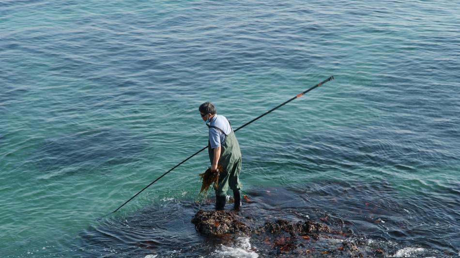 Wakame Fisherman Beach free image download
