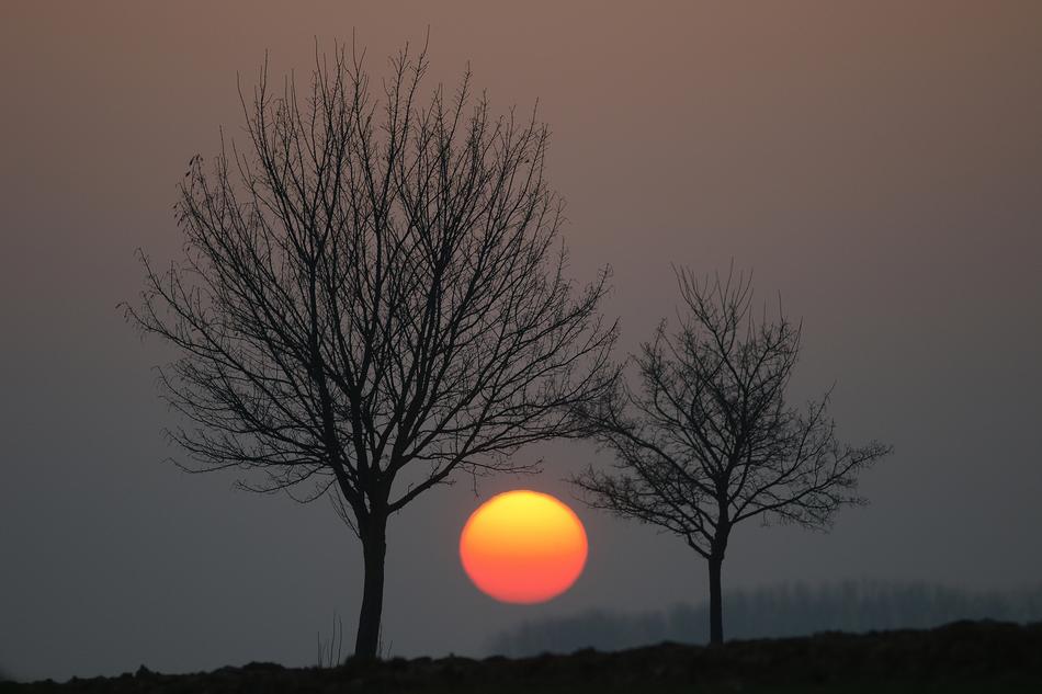 Sunset Giant Dawn free image download