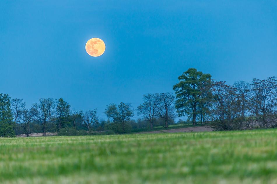 Moon Field Landscape free image download