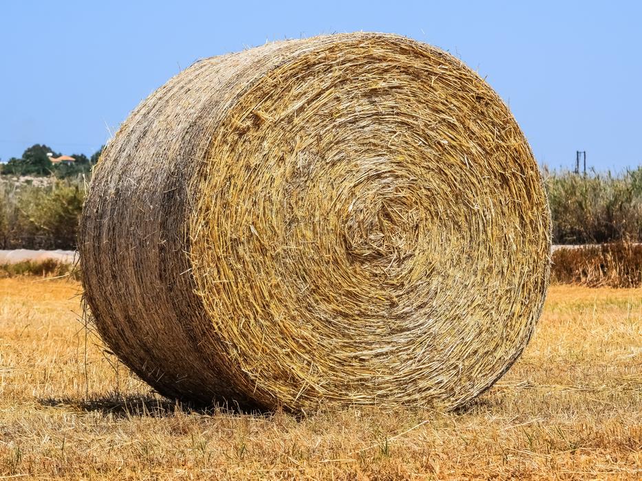 Straw Hay Agriculture free image download
