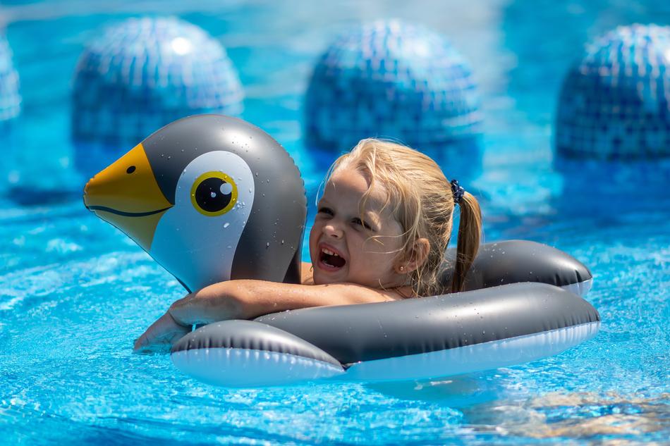 Summer Swimming Pool free image download