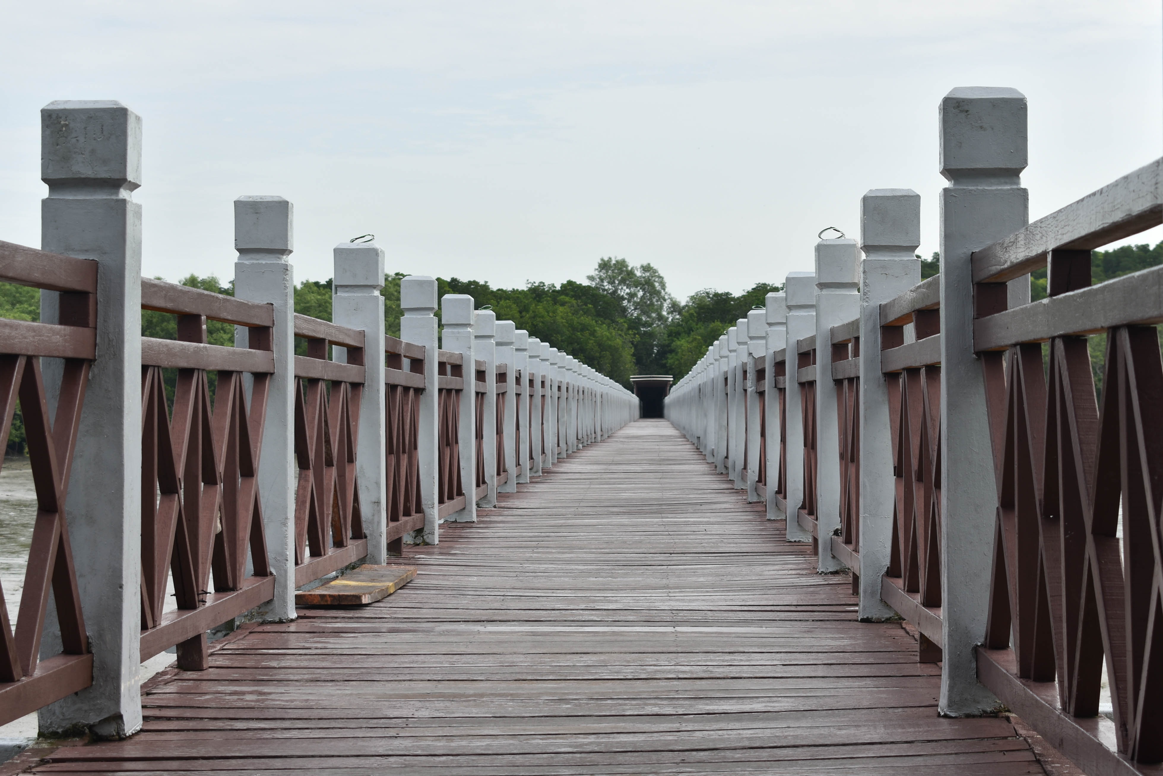 Tanjung Piai Walk free image download