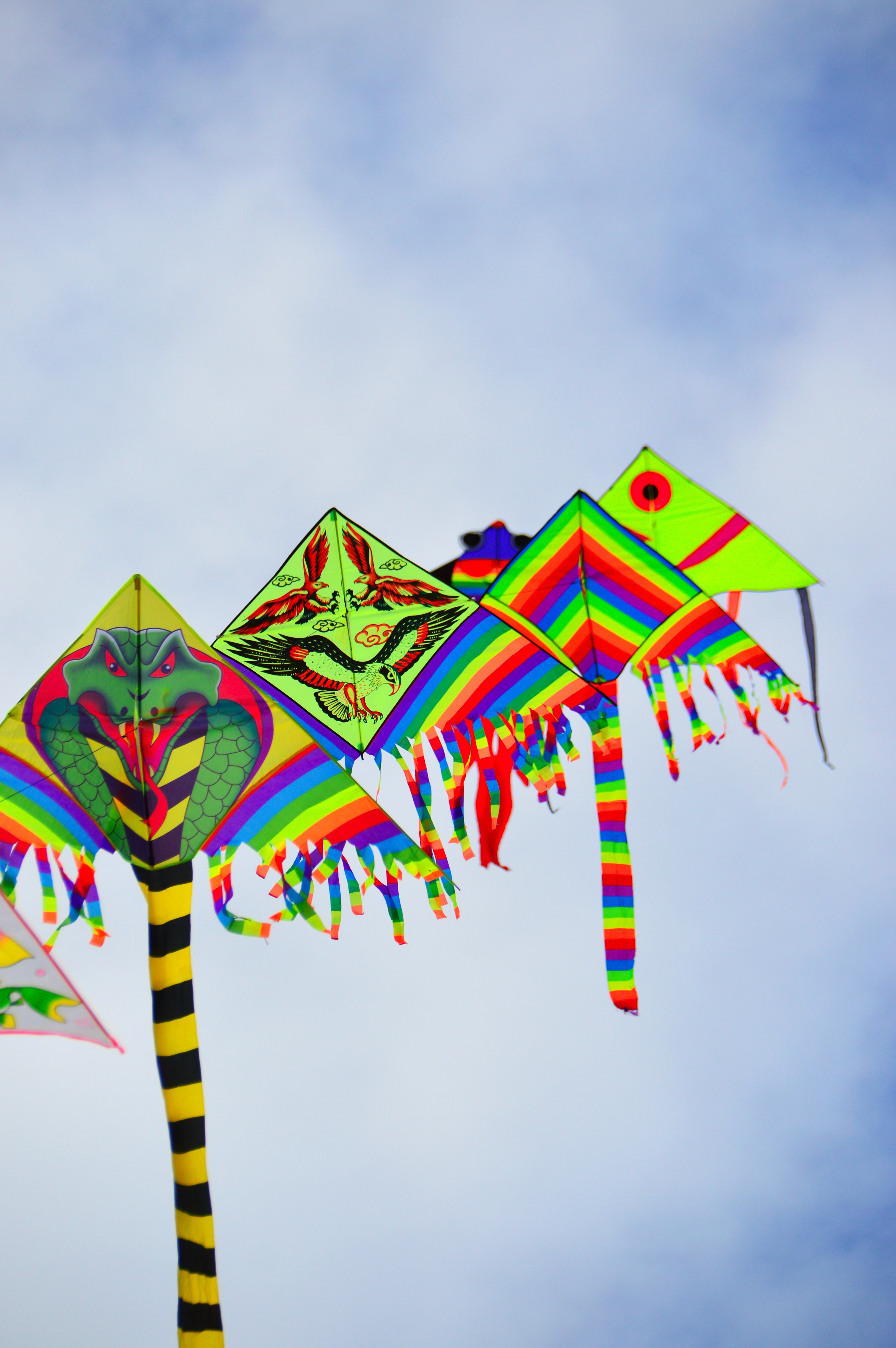 Paper Dragon Colorful free image download