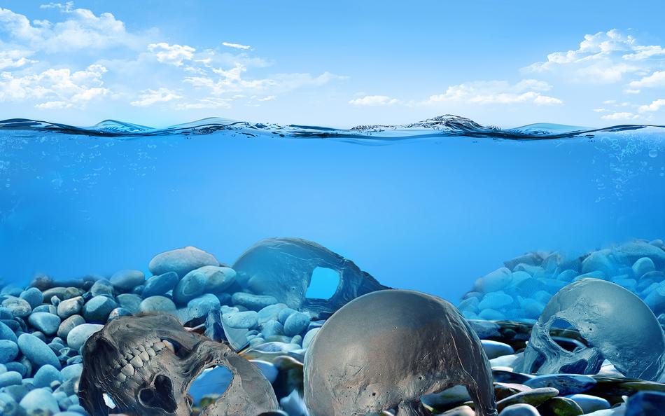 Sea Ocean Skull free image download