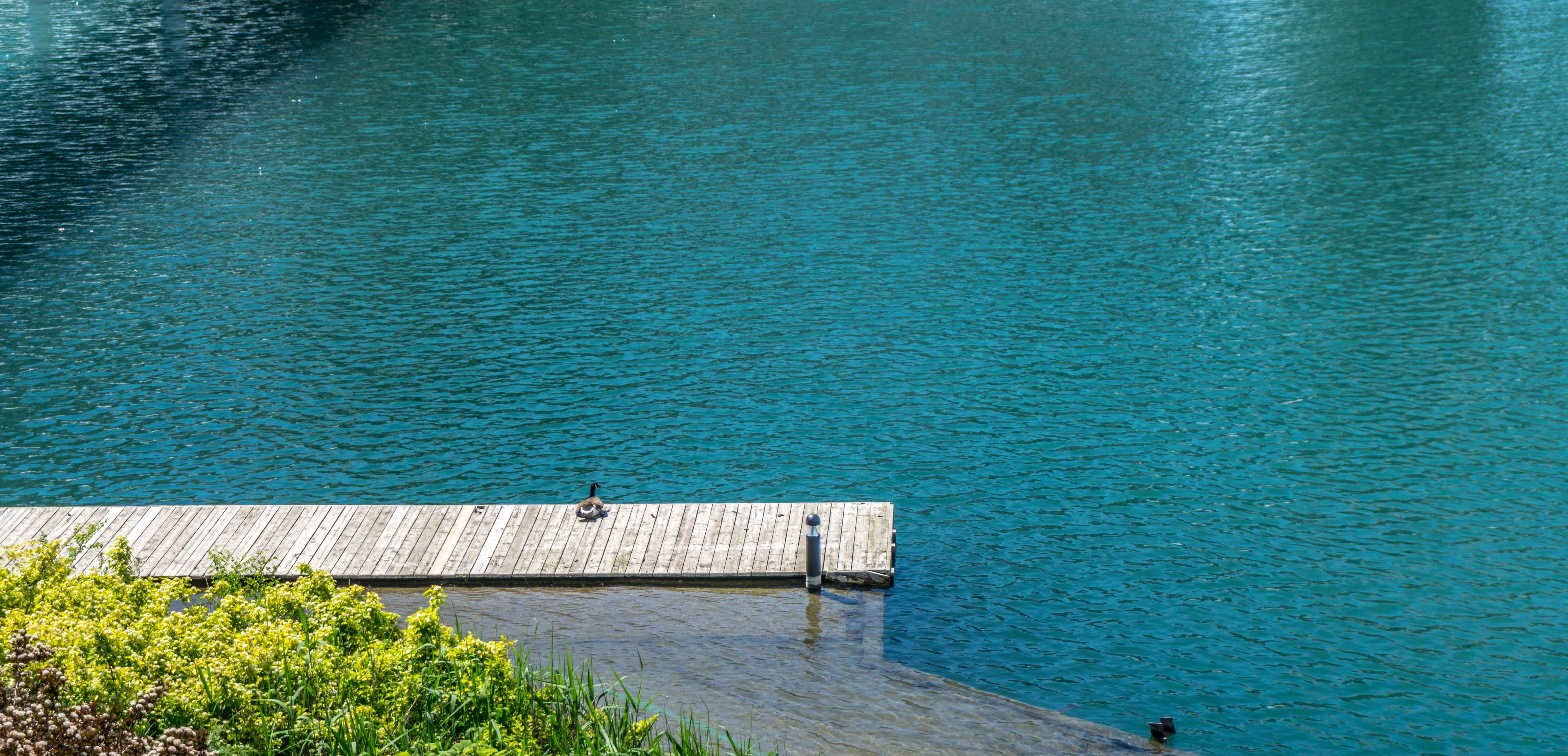 Water Shades Blue free image download