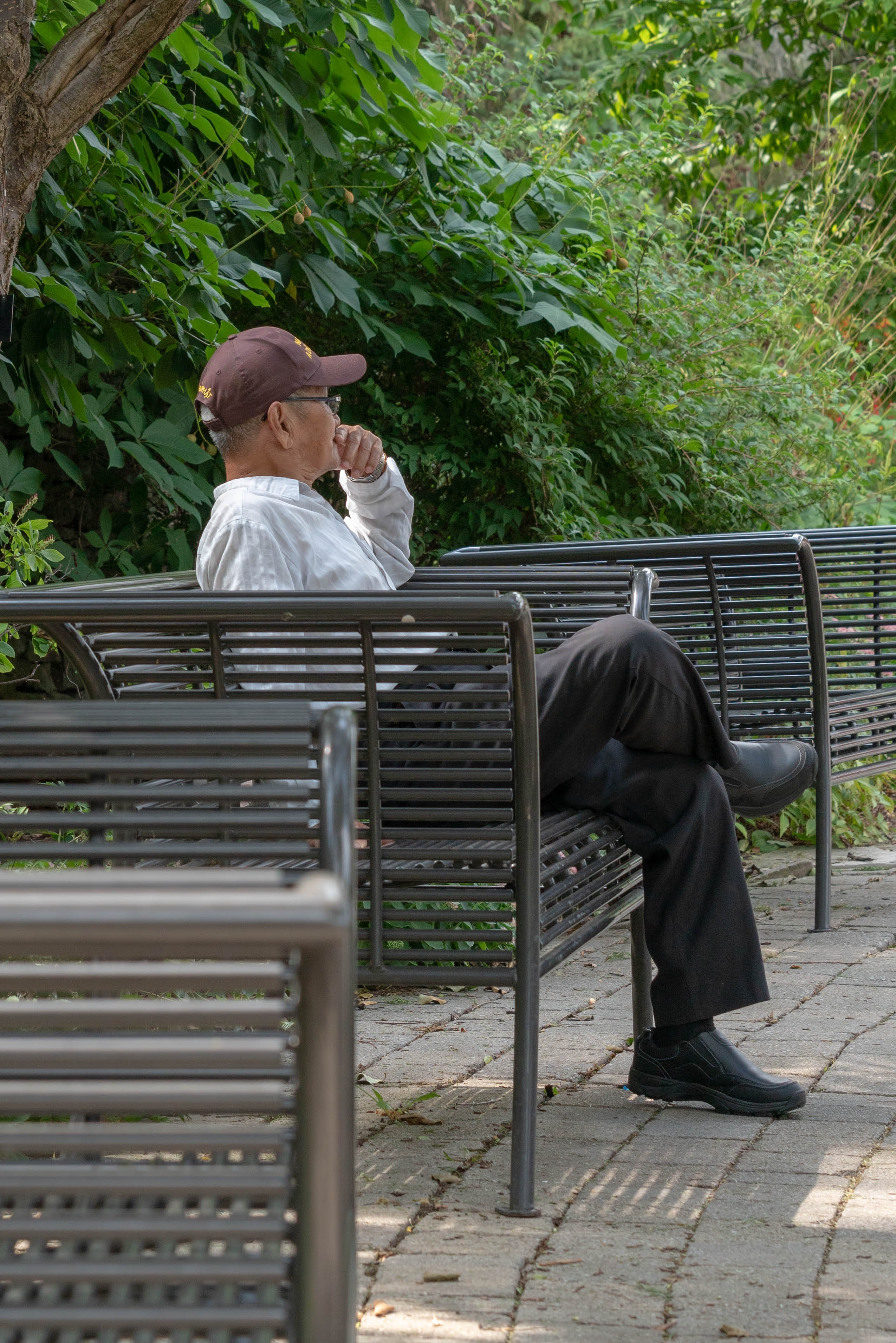Man Sitting On Bench Thinking free image download