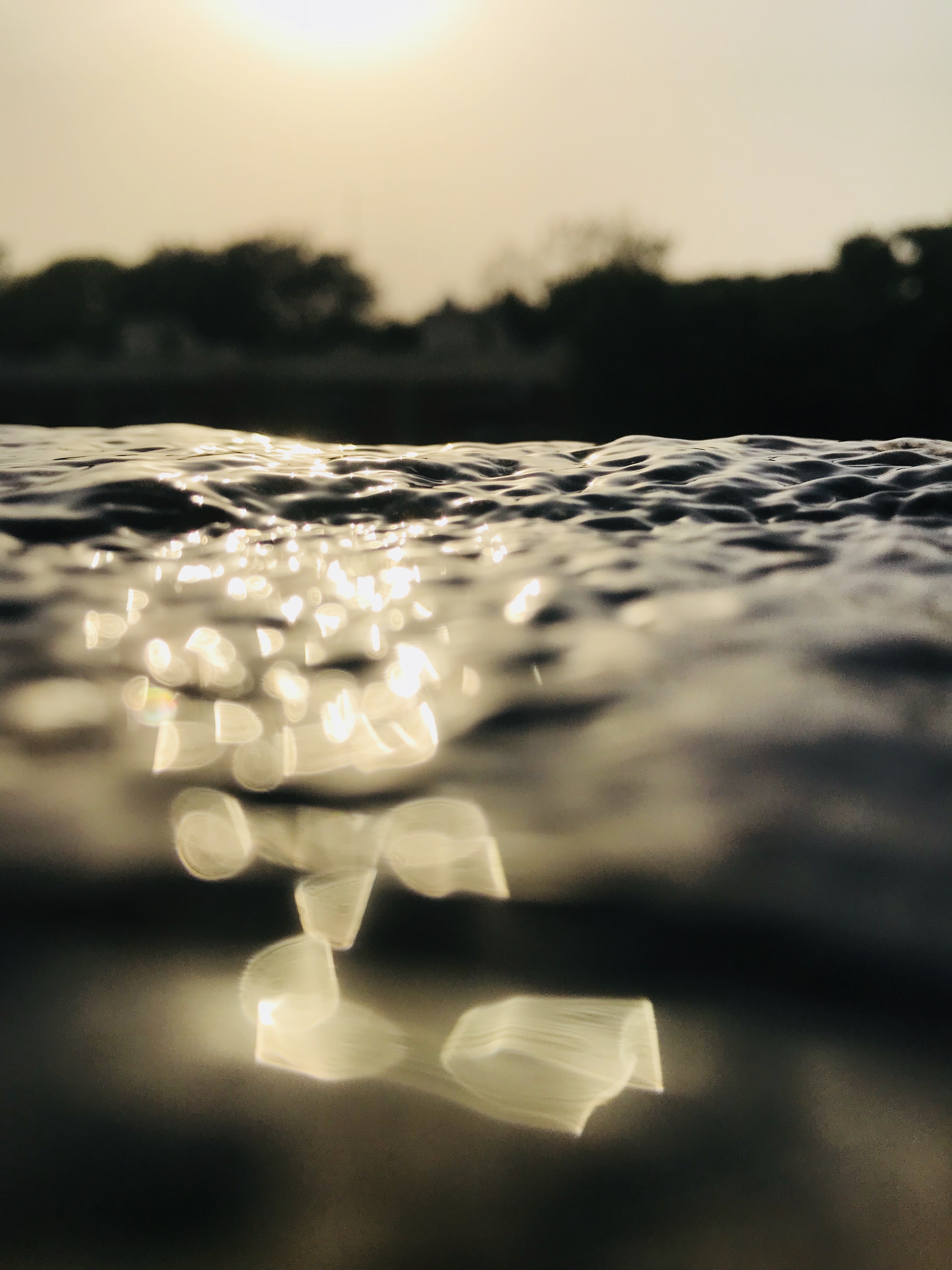 Water Sunlight Reflection free image download
